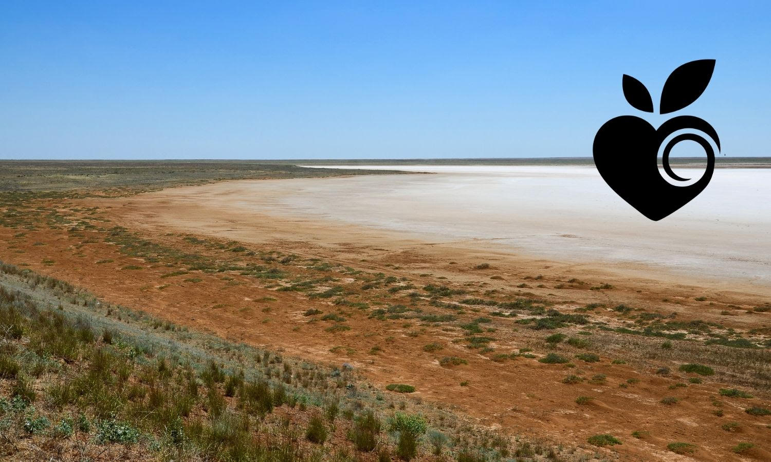 What is Soil Salinity and How Does it Affect Production? – Organicbox