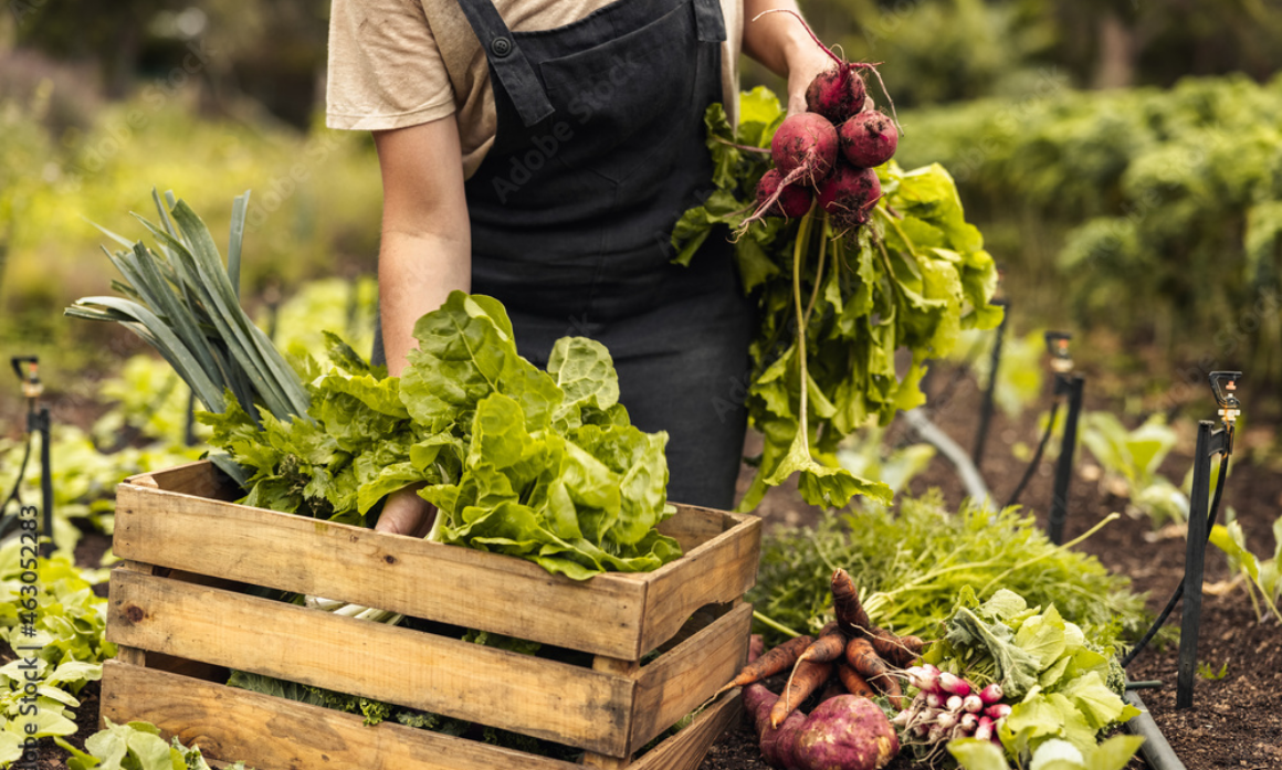 Organic Box - Organic Fruits, Vegetables, Meat Delivery – Organicbox