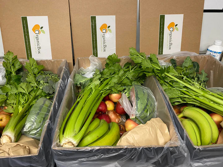 What's in the Box ~ Week 15 ~ Delivery Week 08/04/2024 – Organicbox