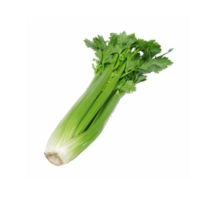 Organic Celery Bunch SMALL – Organicbox