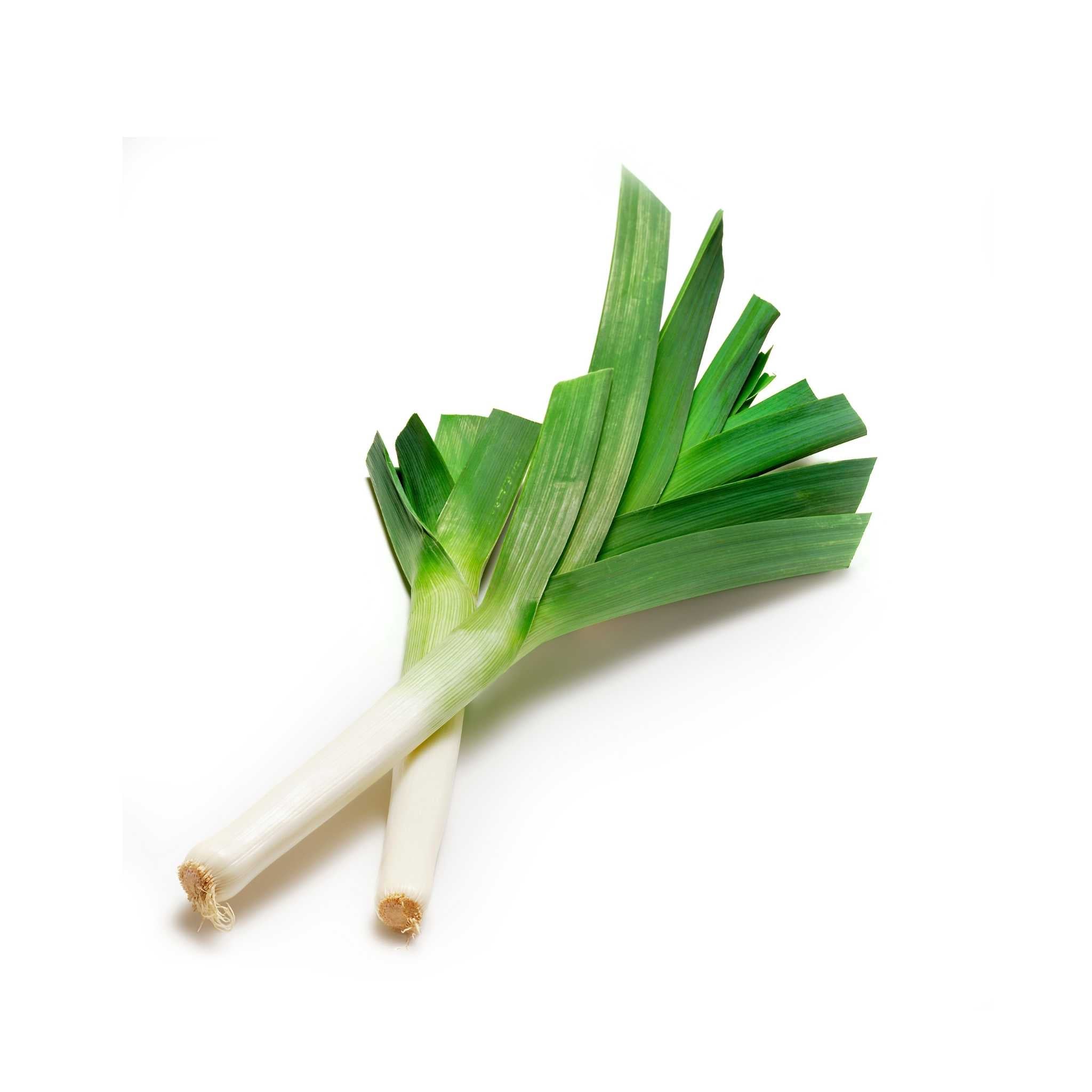 SA Organics Leek Bunch – Organicbox