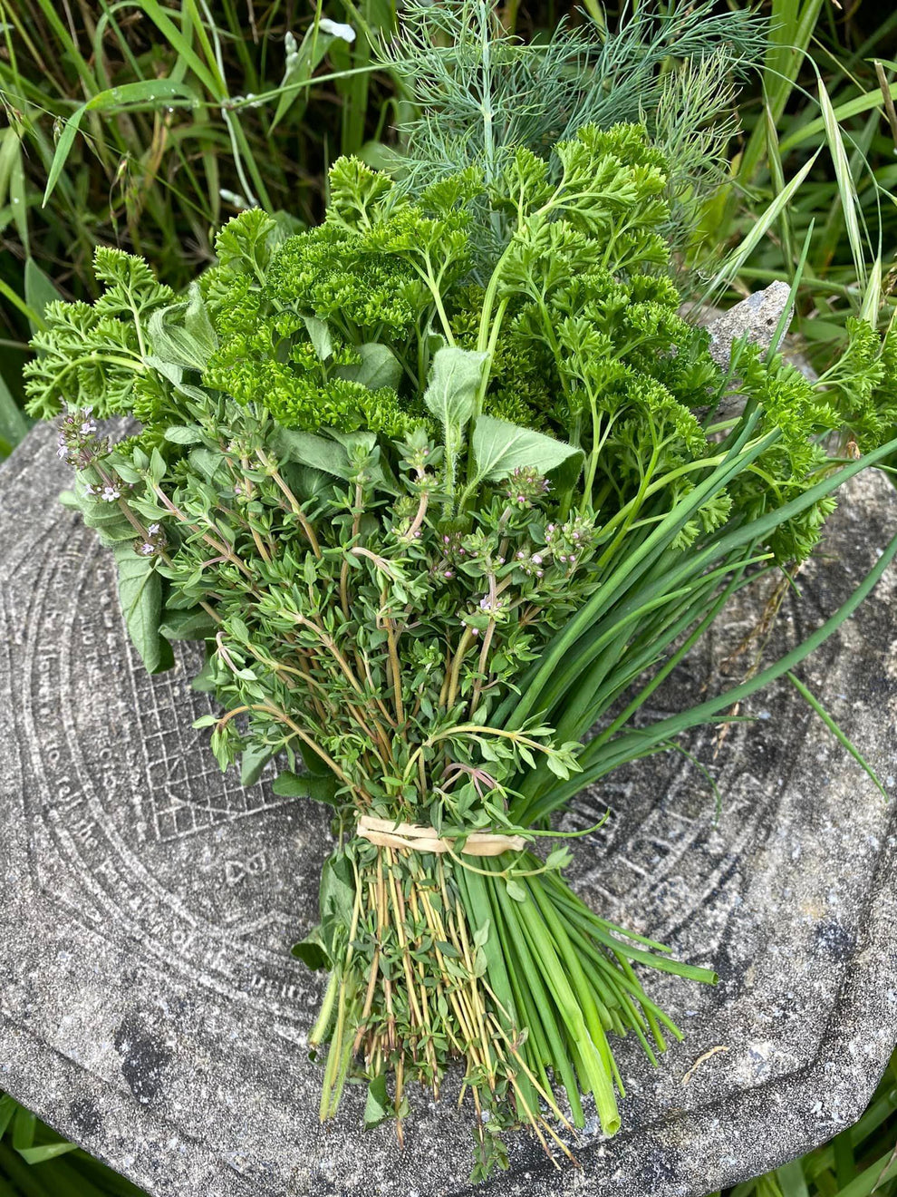SA Organics Mixed Herb Bunch – Organicbox