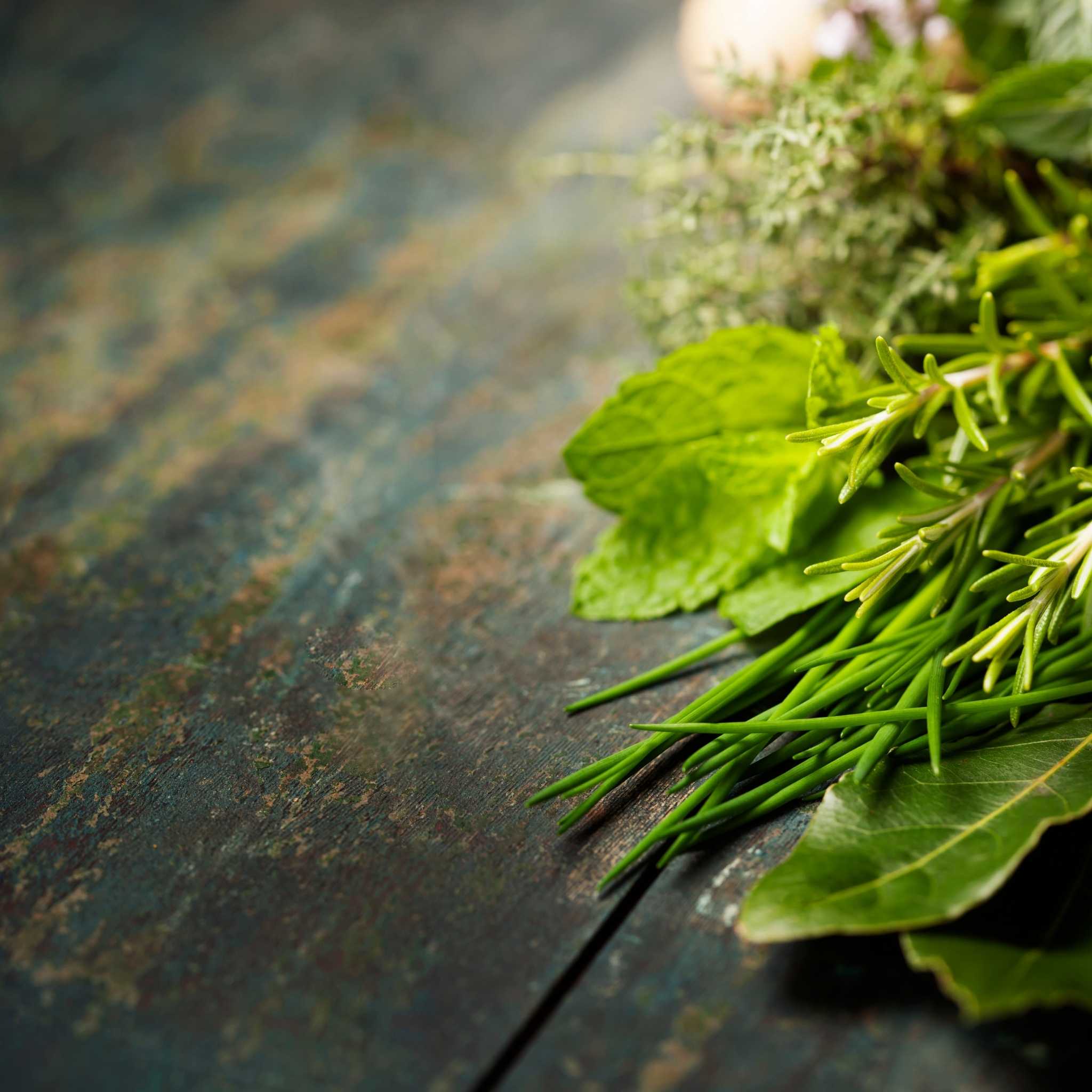 SA Organics Mixed Herb Bunch – Organicbox