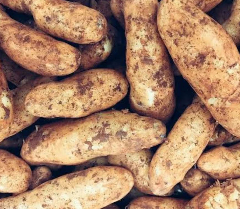 Organic Potatoes - Kipfler 200g – Organicbox